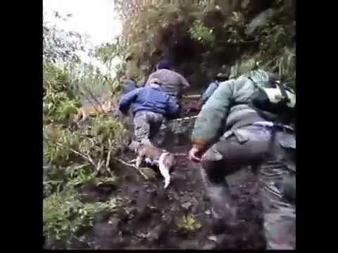 Boar hunting Chile- Lago Ranco - YouTube