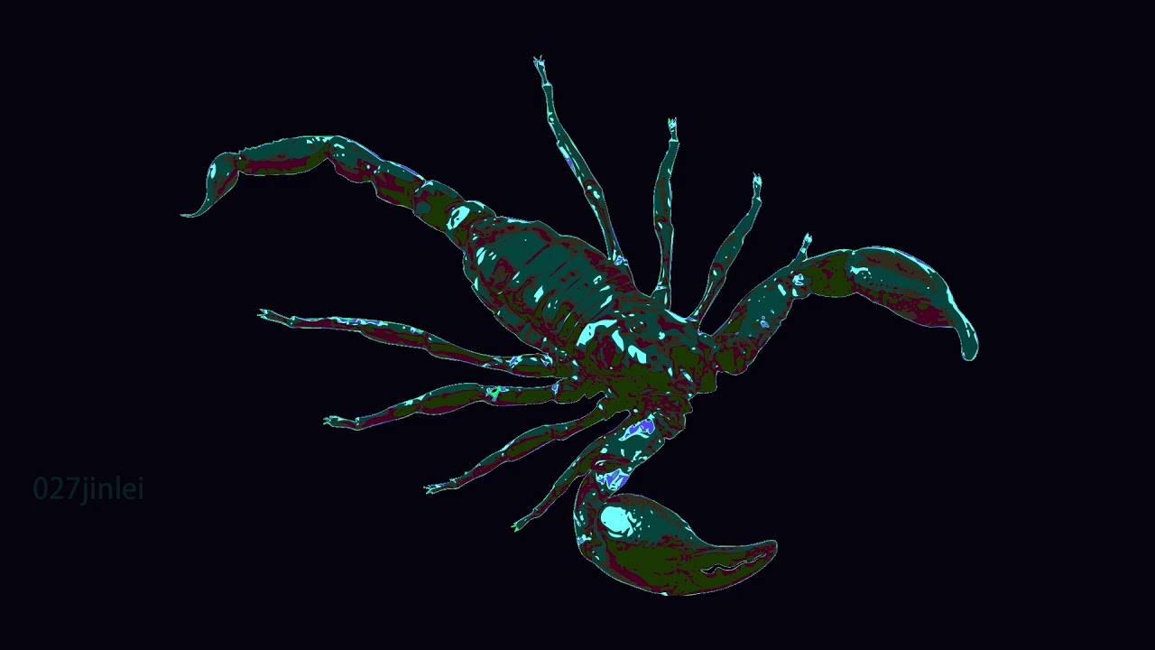 Black Scorpion Picture literacy Flashcards learn to read with the aid ...