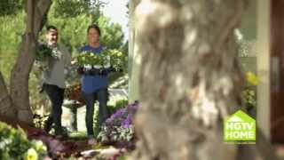 HGTV HOME Plant Collection | Angel Plants