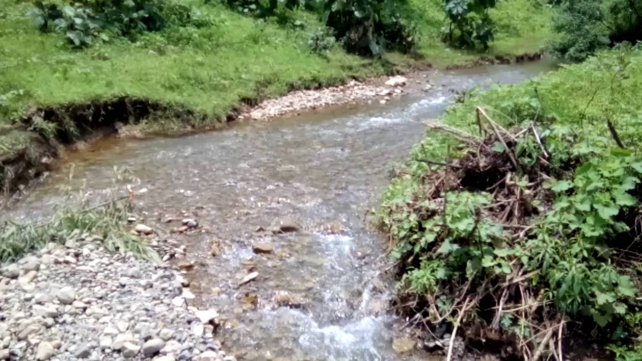 Kokam (Dediyapada) - YouTube