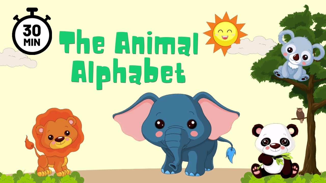 Belajar mengenal hewan dengan Alfabet | The Animal Alphabet | Belajar ...