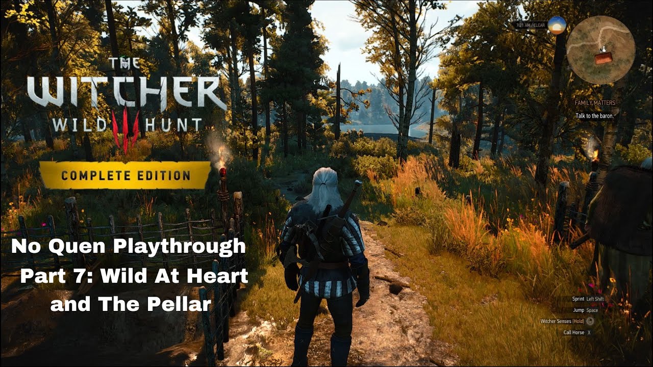 The Witcher 3: Wild Hunt - Part 7: Wild At Heart and The Pellar (No ...