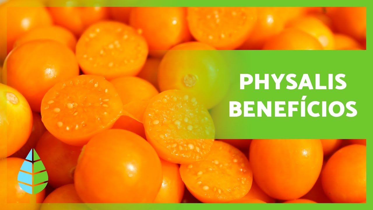10 BENEFÍCIOS do FISÁLIS (Um Superalimento!) - YouTube