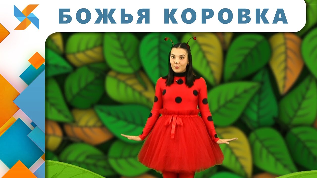 Божья коровка Разминка для детей Youtube