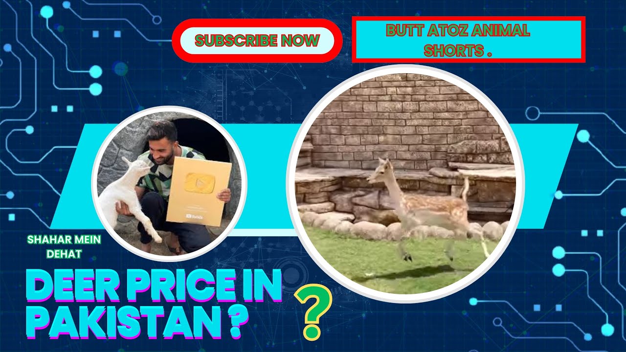 shahar mein dehat#deer price in Pakistan#faisalabad - YouTube