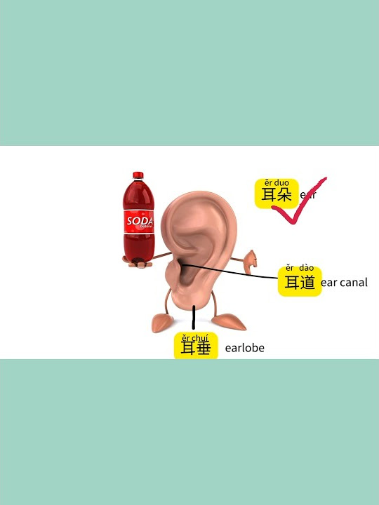 Learn Chinese - Mandarin - Daily Words - Daily Expression - Ears and ...