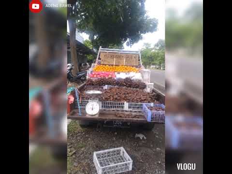 DUKU PALEMBANG MURAH  DIBESUKI SITUBONDO