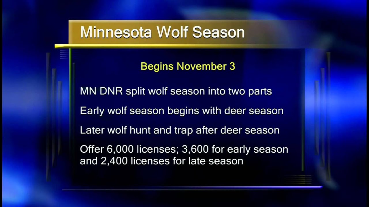 Minnesota Wolf Hunting and Trapping - Lakeland News at Ten - May 21 ...