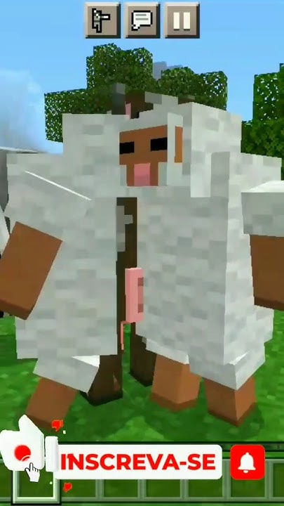 🤣corri Das Ovelhas🤣 Minecraft Youtube