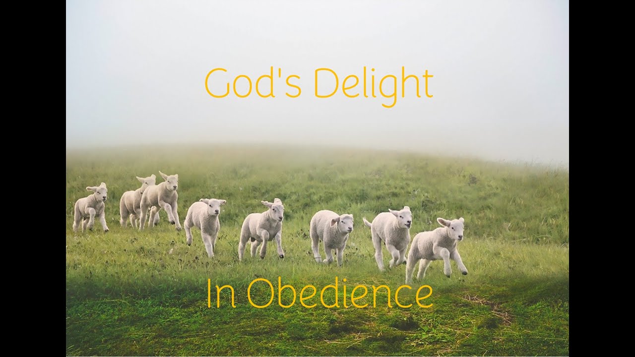 God's Delight in Obedience - YouTube