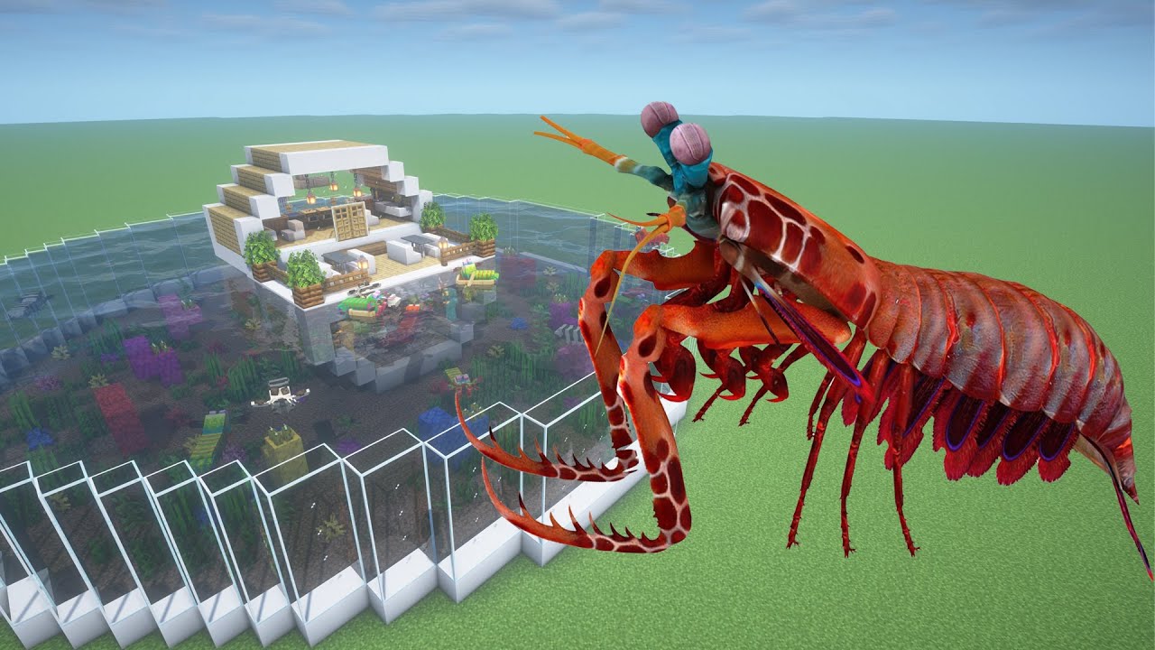 How To Make a Mantis Shrimp Farm in Minecraft PE - YouTube