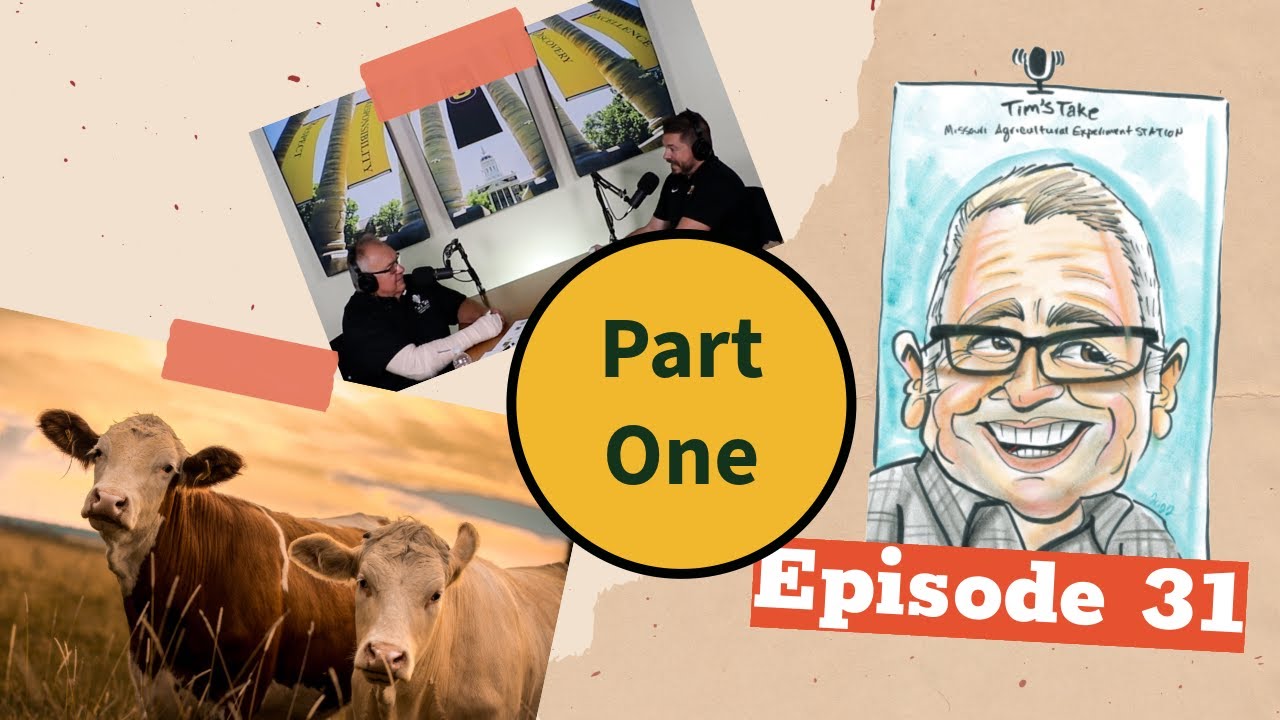Tim's Take Episode 31 | Derek Brake | Does Animal Physiology Impact Feed Requirements? Part 1 ...