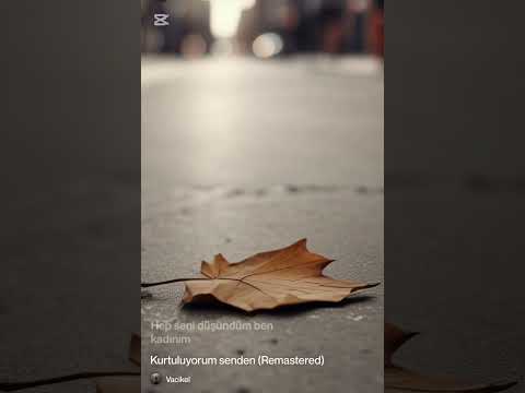 Kurtuluyorum senden (arabesk)