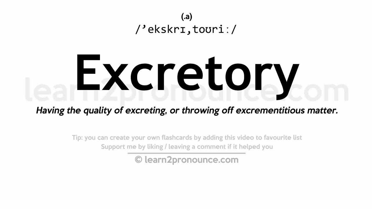 Pronunciation of Excretory | Definition of Excretory - YouTube