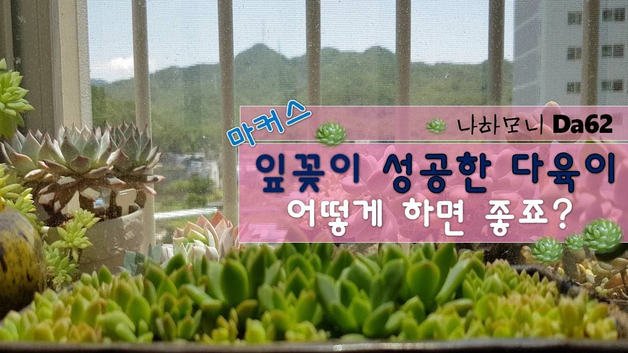 ๐ฅ์๊ฝ์ด ํ ์์๋ ๋ง์ปค์ค ์ ์ฌํ๊ณ  ์ฝ๋ชฉํ๋ ๊ณผ์  ์์๋ ๋ค์ก์ด ๋ค์ก ๋ค์ก์ด ๋ฒ์์ ์ฌ์ฝ๋ชฉ๋ค์ก์ด ์๊ฝ์ด ๋ง์ปค์ค๋ค์ก์ด