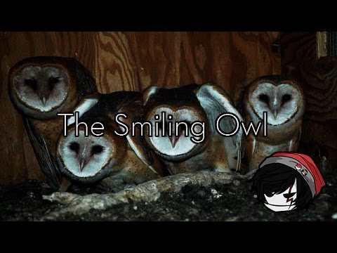 CREEPYPASTA | The Smiling Owl - YouTube