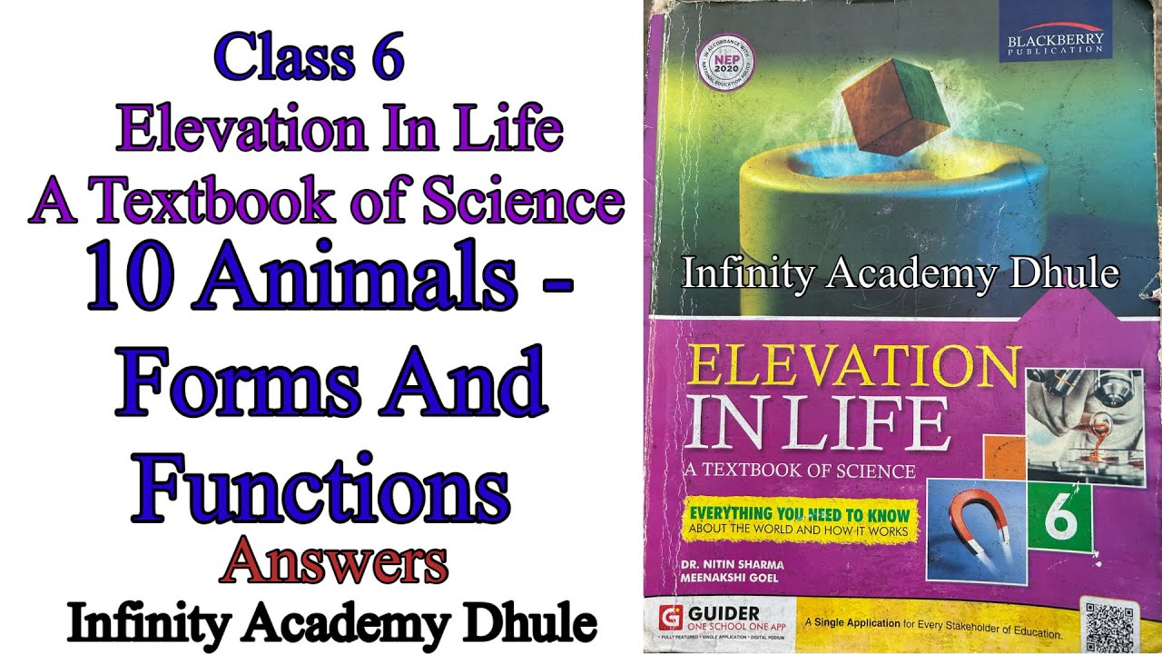 10 Animals Forms and Functions Answers Elevation In Life A Textbook Of ...