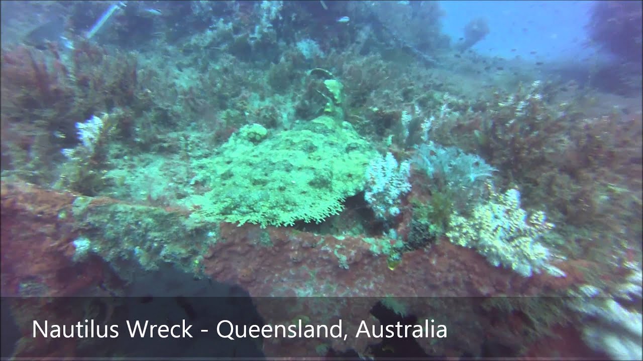 SCUBA DIVING: Nautilus Wreck. Queensland, Australia - YouTube