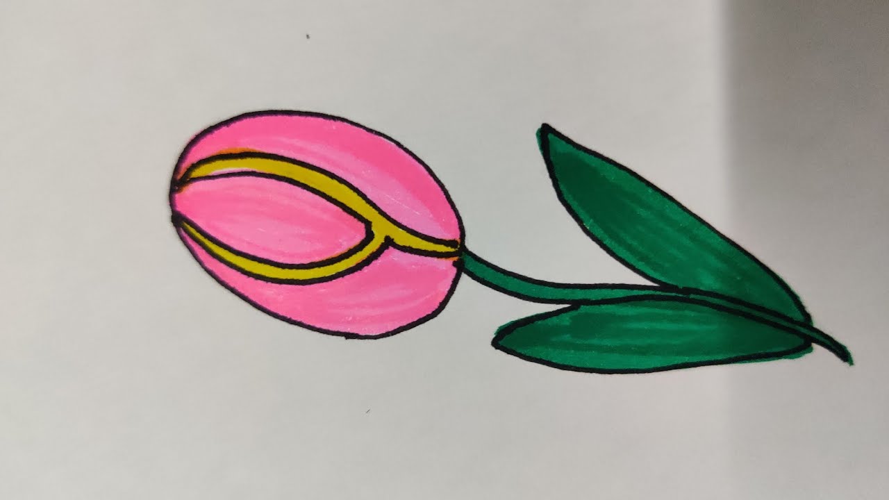 Art fun with pushplata is live - YouTube