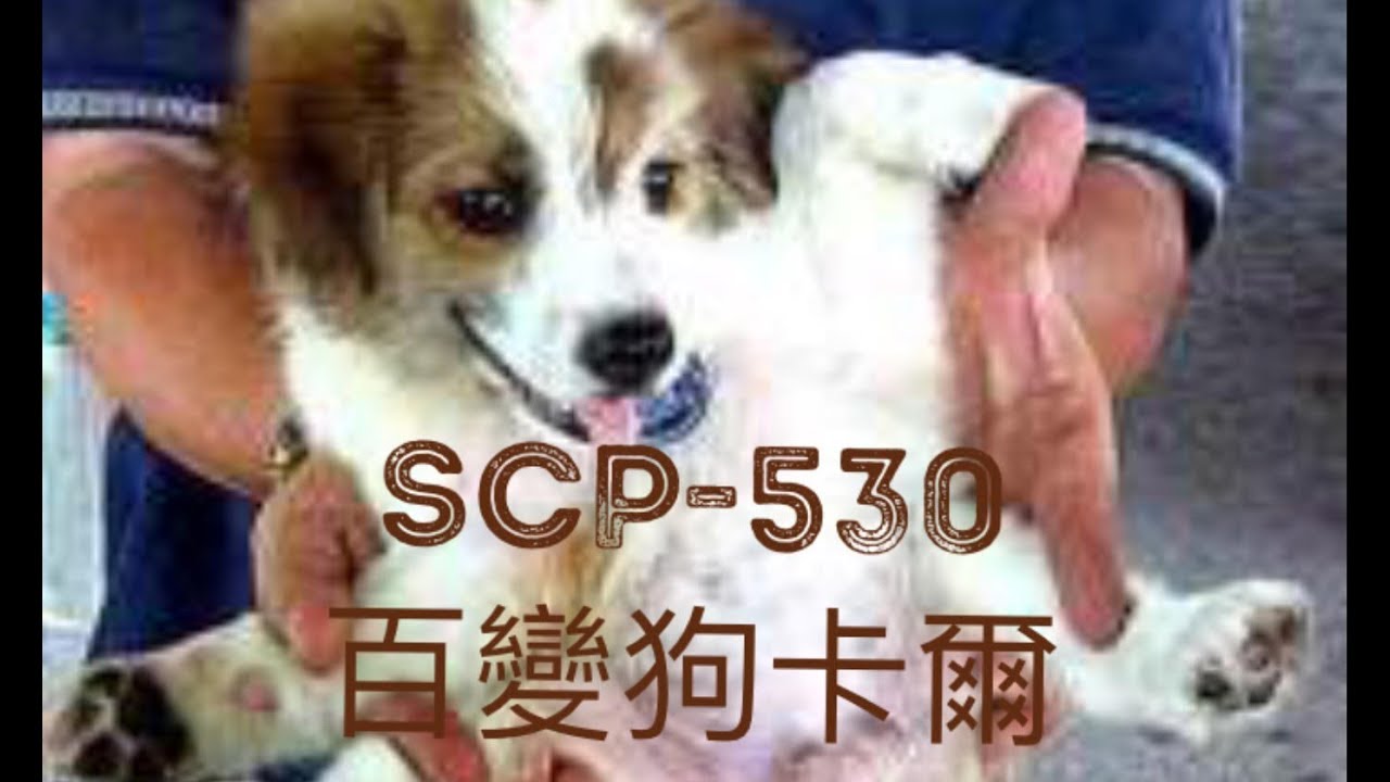 SCP基金會 SCP-530 Carl the Variable Dog 百變狗卡爾 (中文） - YouTube