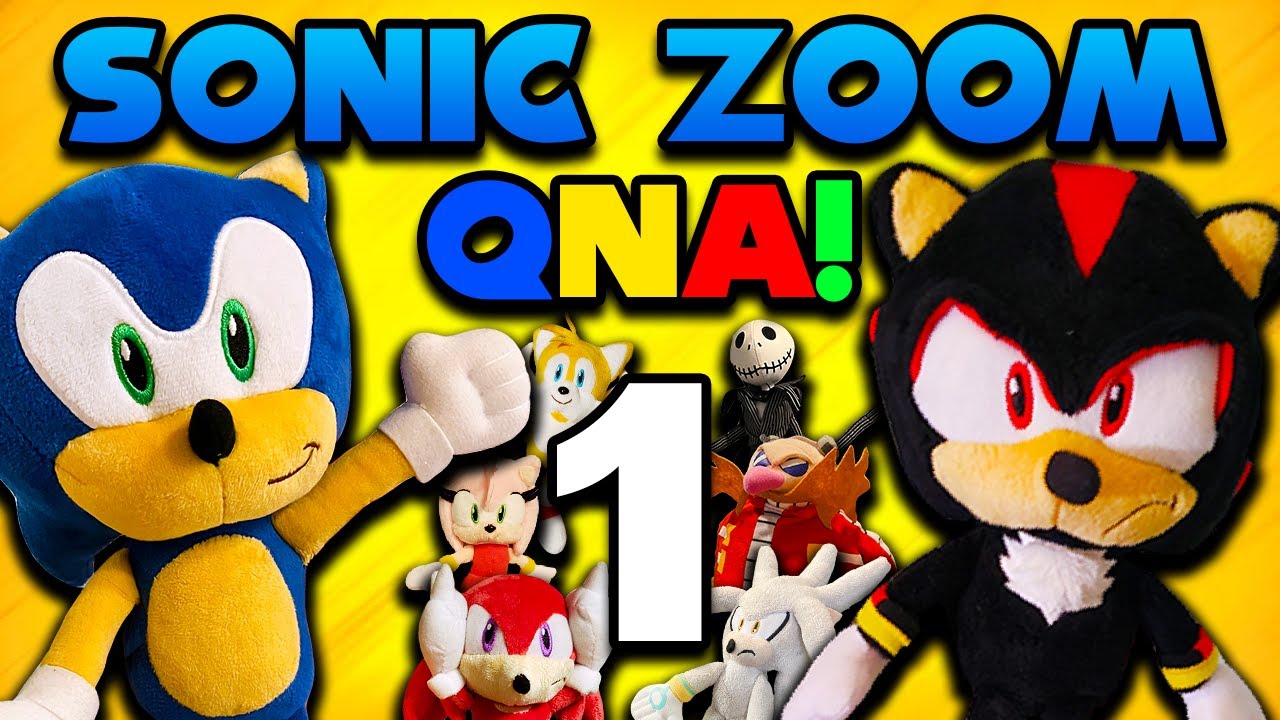 Sonic Zoom Q&A! (4,000 Subscriber Special) - YouTube