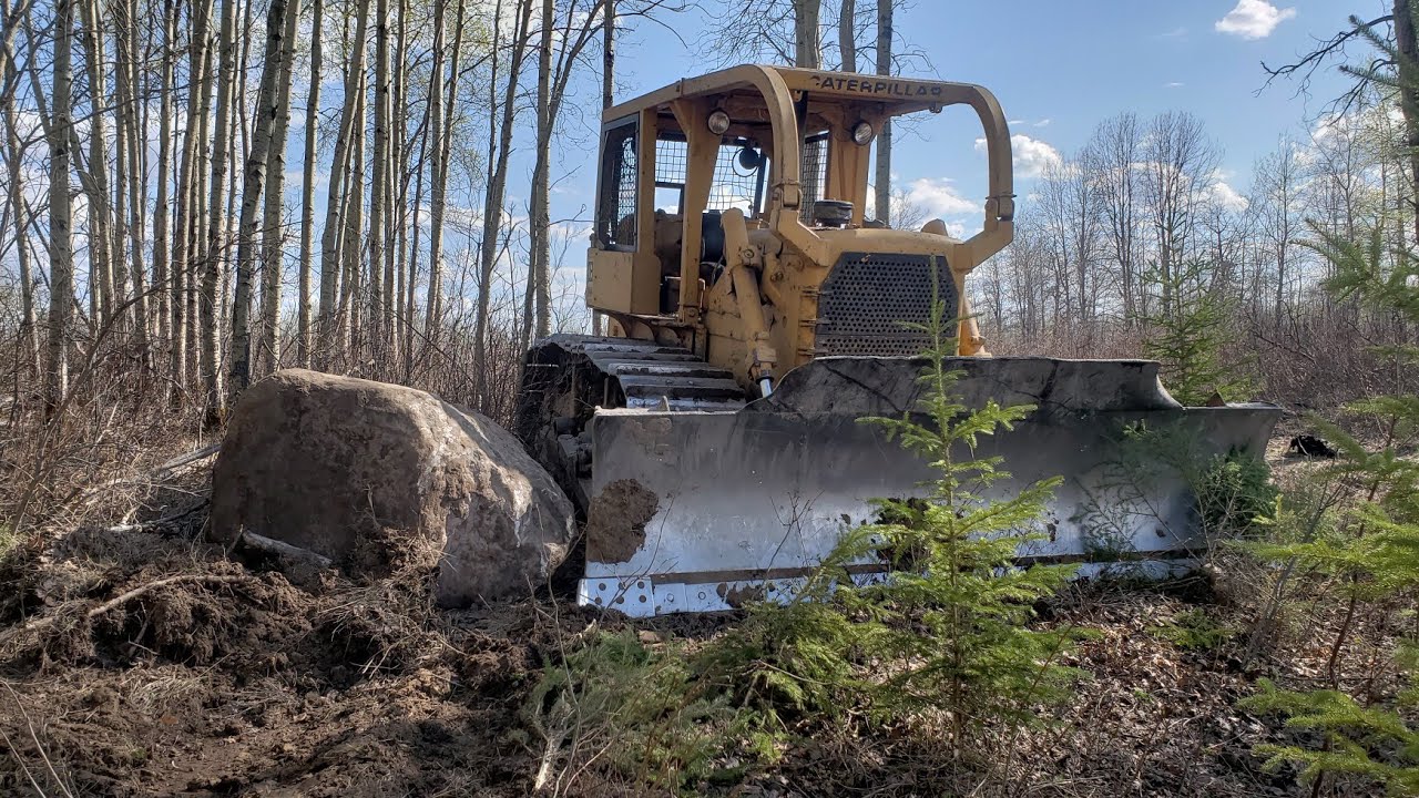 Whopper Beaver, Digging Boulders, and Pushing Trees! May 16, 2022 - YouTube
