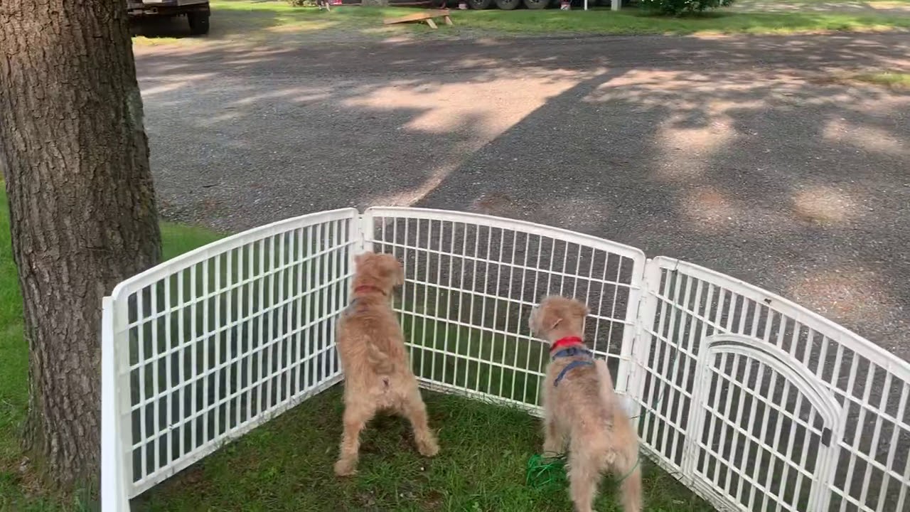 Camping at Normandy Farms - YouTube