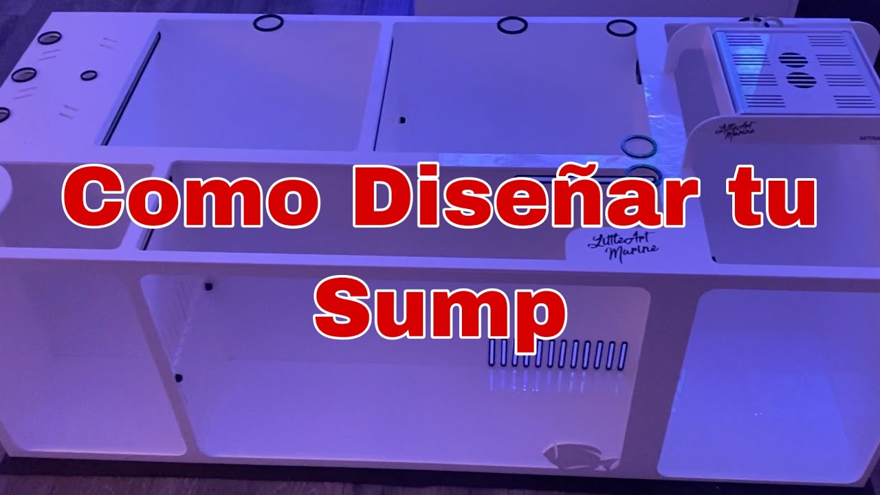 Cómo Diseñar Tu Sump para un Acuario Marino - YouTube