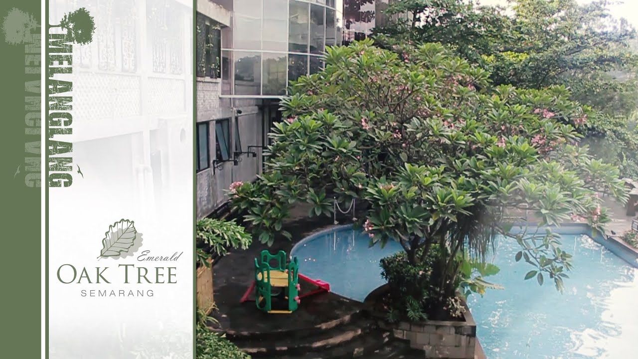 Oak Tree Emerald Hotel, Semarang, Indonesia | Melanglang - YouTube