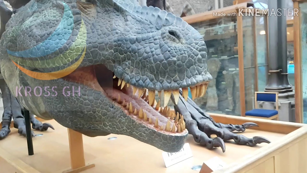 Dinosaur In Oxford UK YouTube dinosaur-in-oxford-uk-youtube