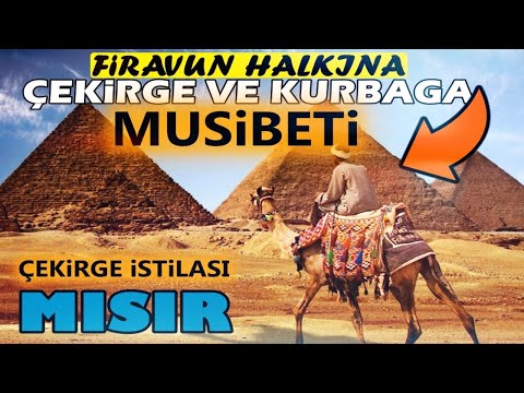 Allah'ın Firavun ve Halkına Gönderdiği Çekirge İstilası! (Tıpkı Günümüzde Yaşandığı Gibi)