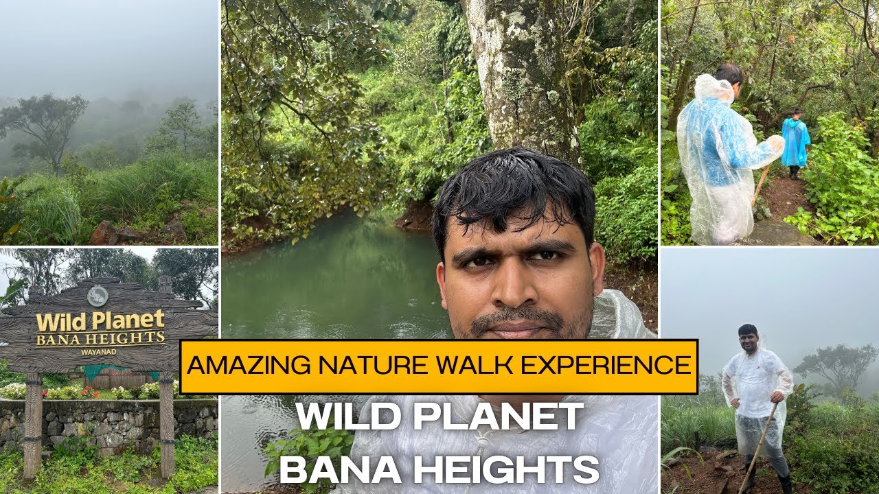 Amazing Experience | Nature Walk at Wild Planet Bana Heights Mountain ...