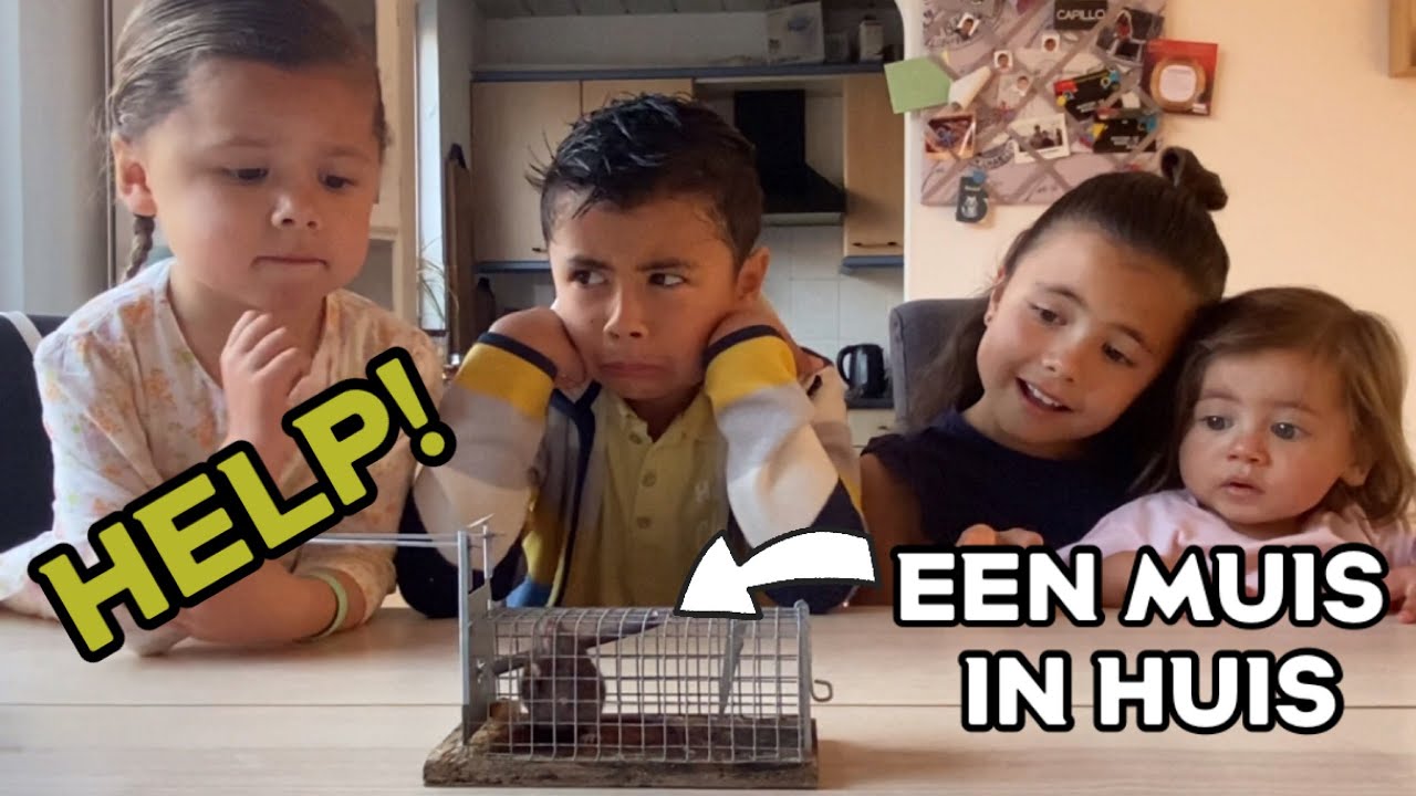 HELP! EEN MUIS IN HUIS 😱 | ONTMOET DE #FAMILIEVLOGGERS - YouTube