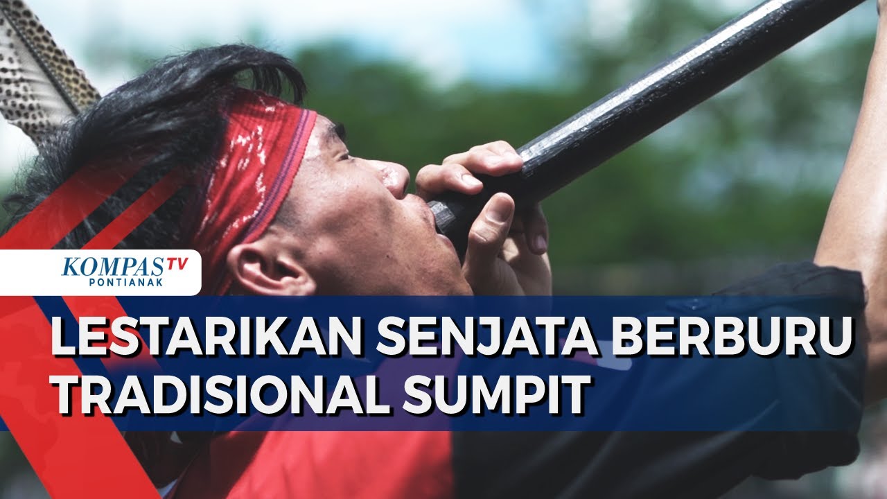 Lomba Sumpit, Cara Lestarikan Senjata Berburu Tradisional Masyarakat ...