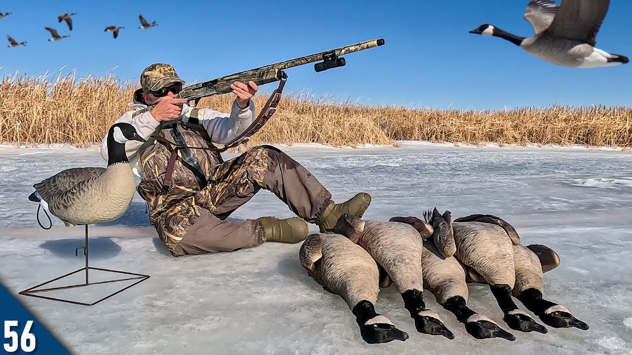 Hunting GEESE on SOLID ICE! (Limited Out) | 2024 Goose Hunting - YouTube