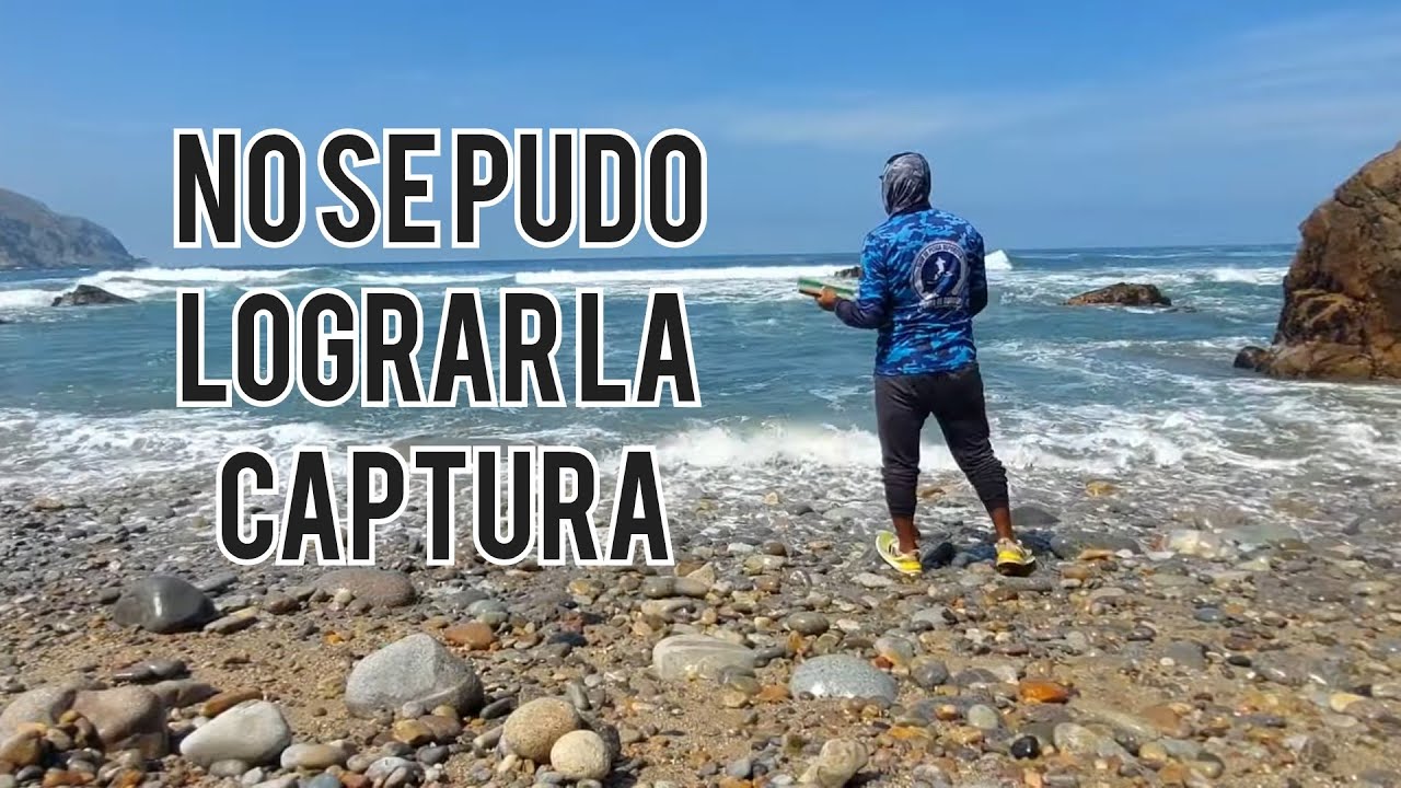 una cachema en coleadera de peces - YouTube