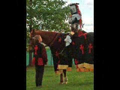 knights on horses