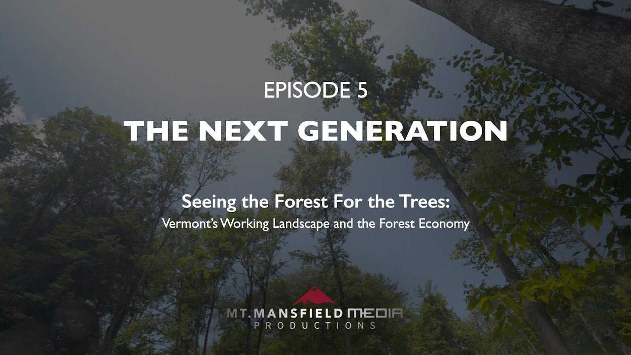 Seeing the Forest for the Trees - Episode 5 - The Development Problem ...