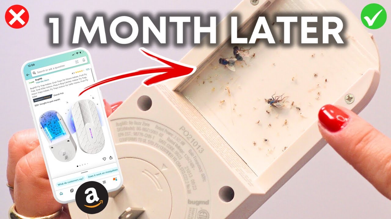 Bug MD Fly Trap | Honest Review - YouTube
