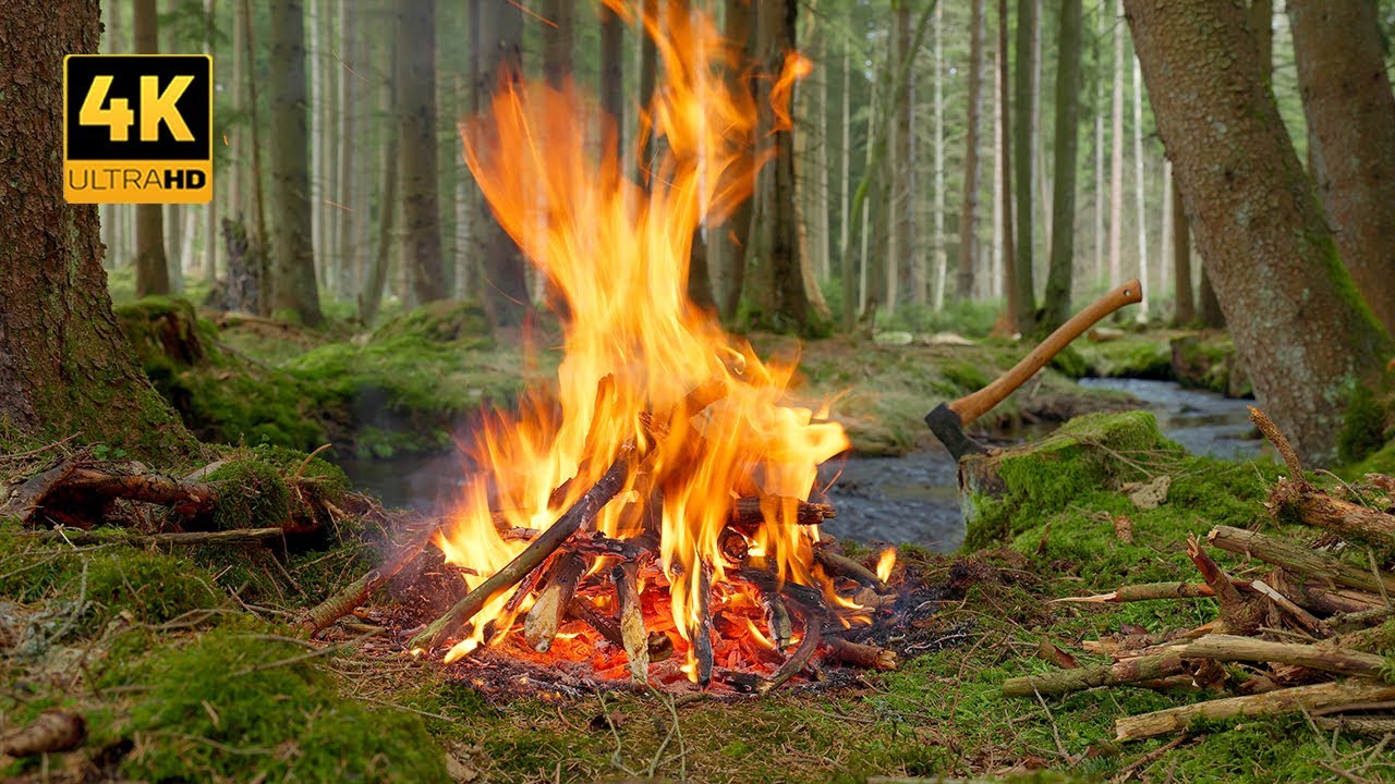4K 📺 Spring Forest Campfire - Sounds of Birdsong, Stream & Crackling ...