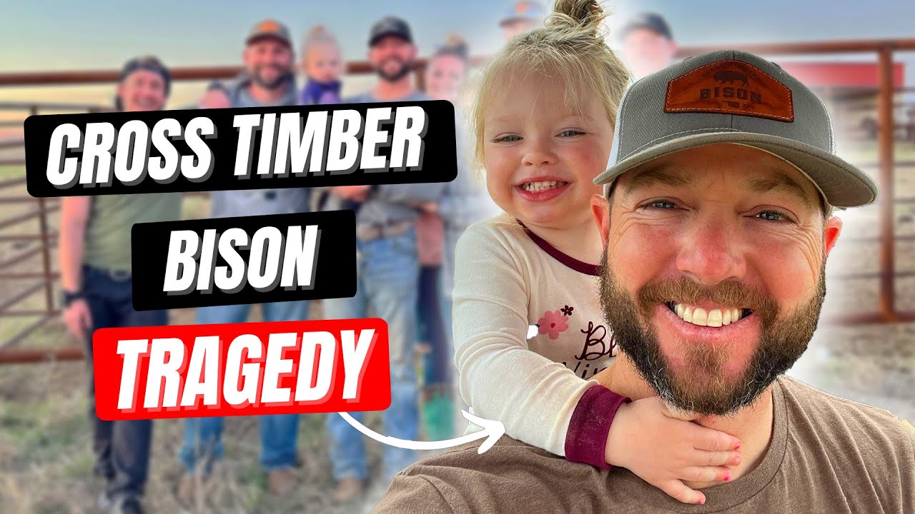 What really happened to Cross Timbers Bison Farm? - YouTube