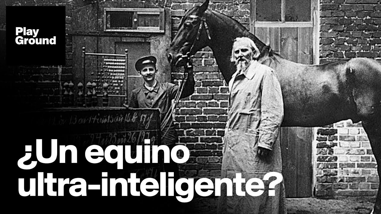 Clever Hans: el secreto del caballo que sabía sumar. - YouTube