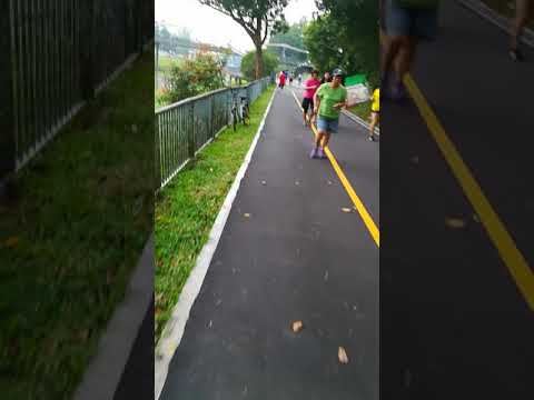 Morning at the park connector _ footpath/shared path _ Wednesday ...