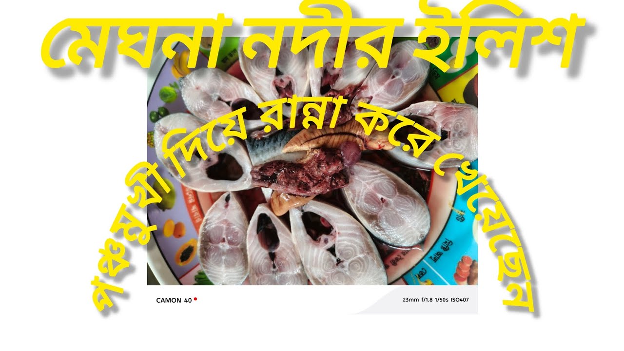desi Shader fish recipe|| @Maisha45390 - YouTube