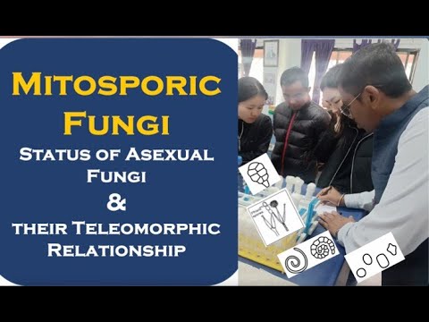 Mitosporic Fungi,Status of Asexual Fungi and their Teleomorphic ...