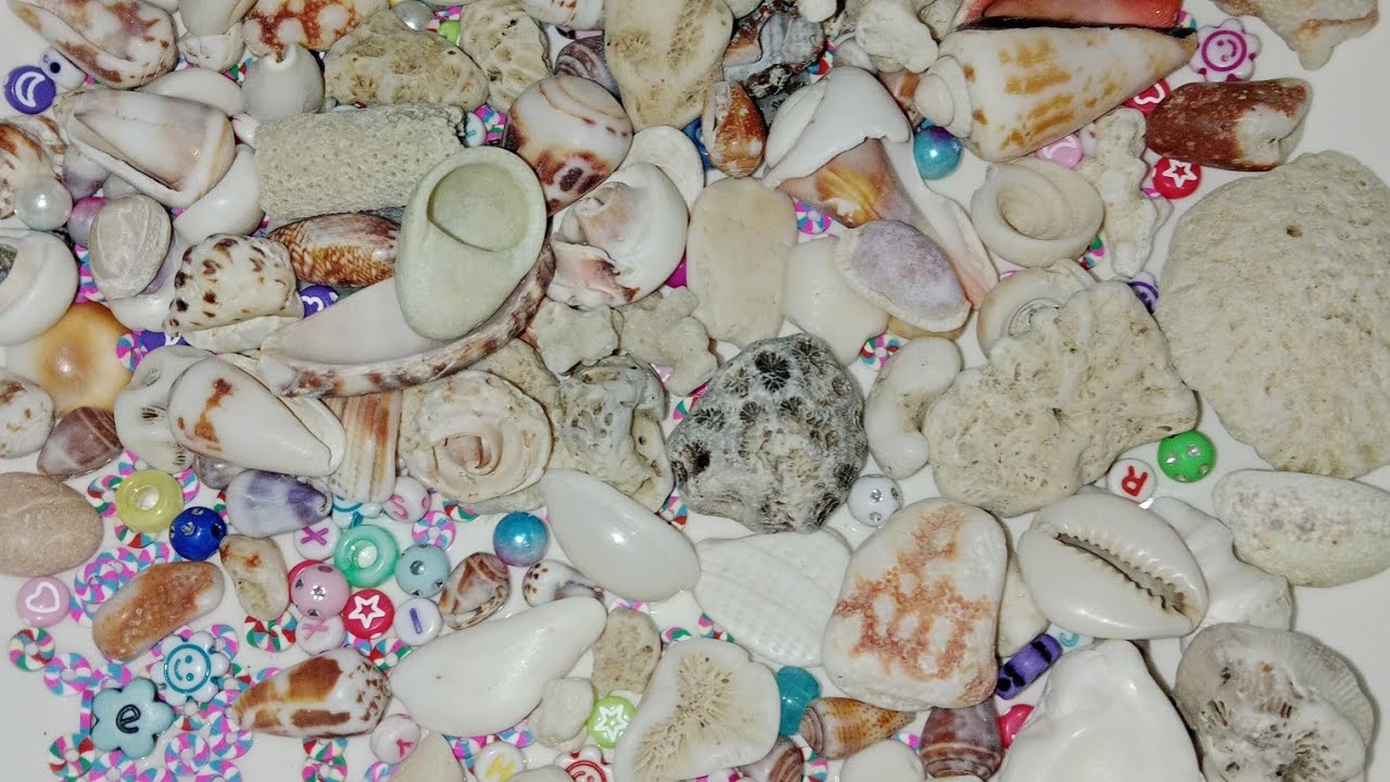 Satisfying sea shells sound!!ASMR - YouTube