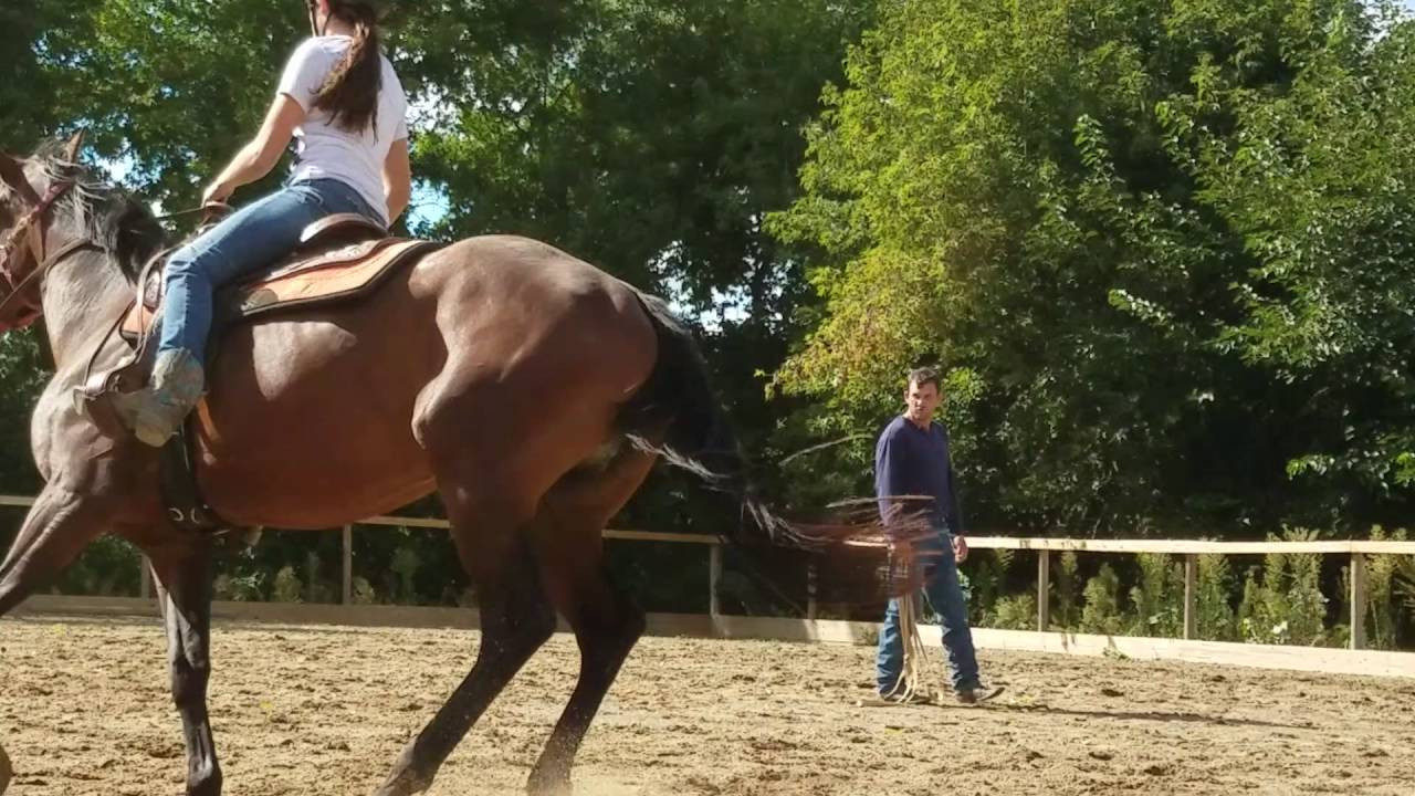 Soave Stables Zelda first ride 3 - YouTube