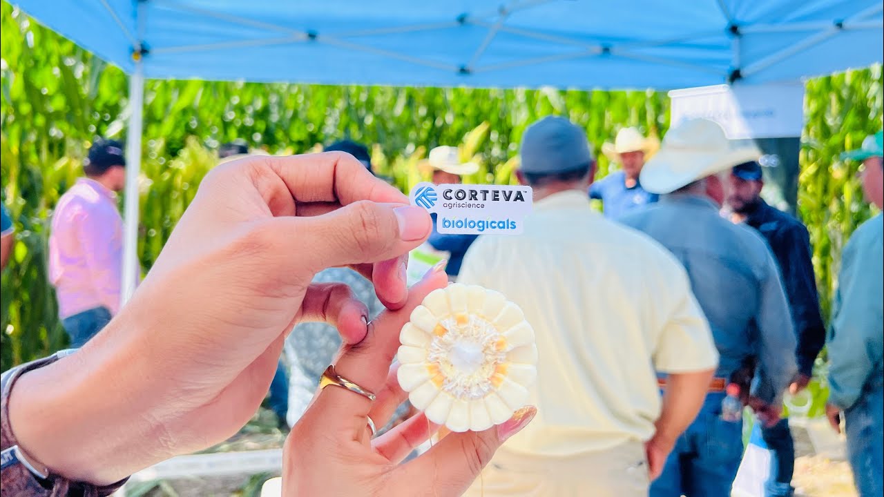 Primer evento de Corteva Biológicos, México en Verde en occidente - YouTube