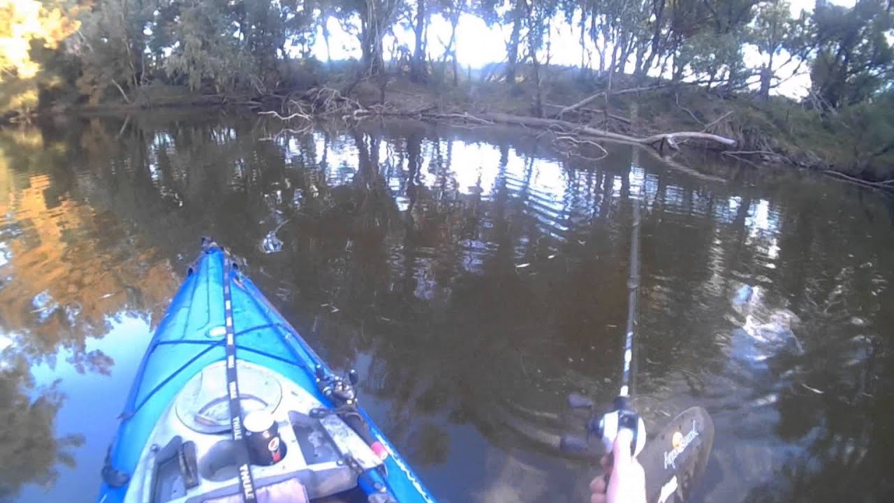 McIntyre brook surface hit - YouTube