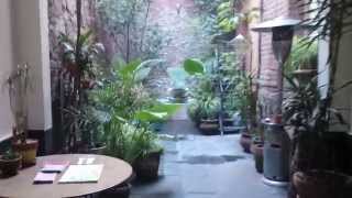 El patio 77 Bed and Breakfast/ Hotel boutique in Mexico City